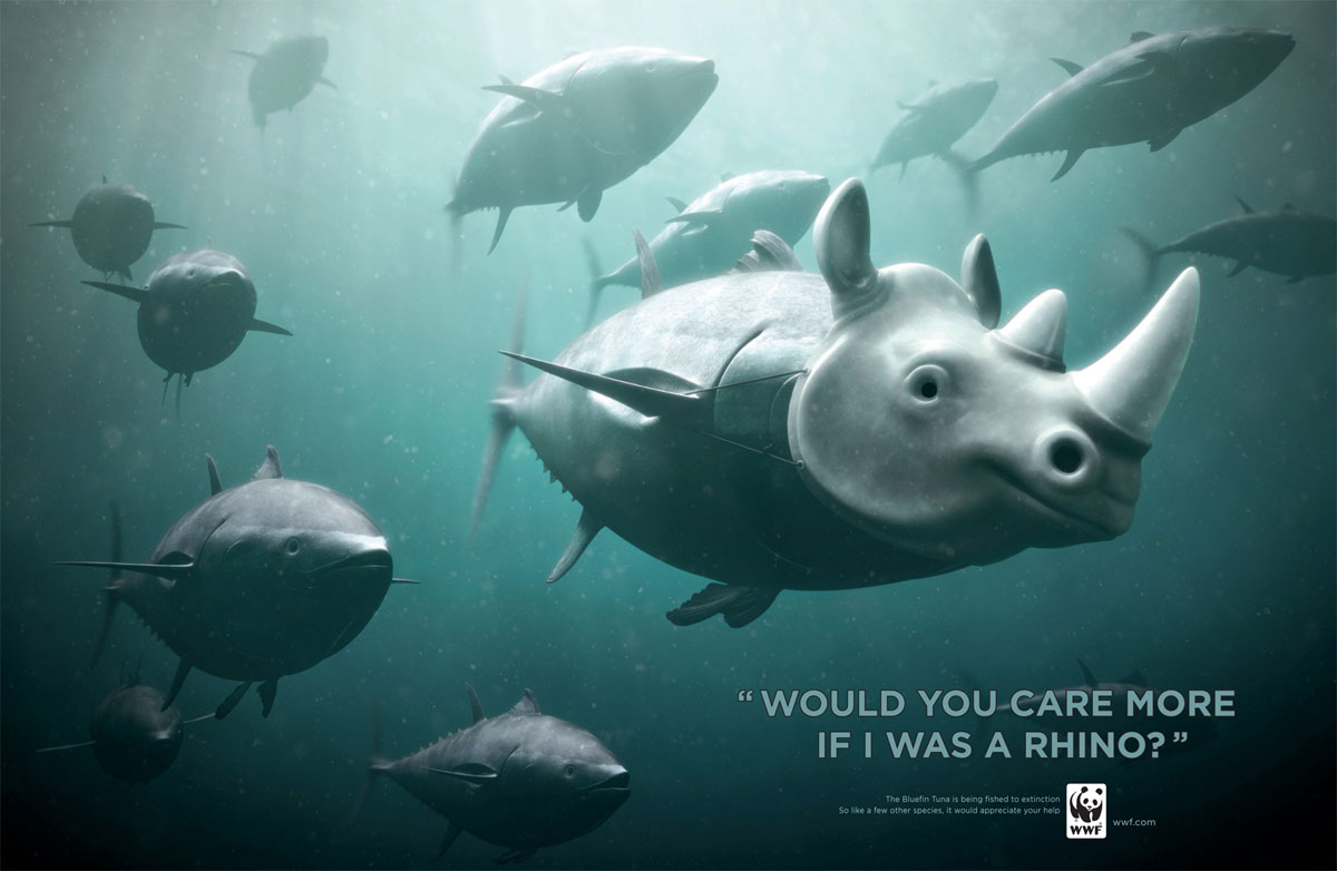 WWF Bluefin Tuna Overfishing WWF Bluefin Tuna Overfishing