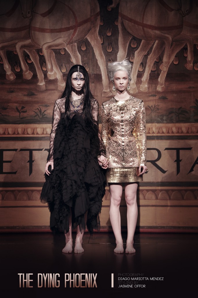 The Dying Phoenix by Diago Mariotta Mendez for Design Scene
