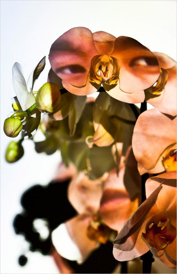 F4D3 Ft. Jason Mui Mui by Rainer Torrado