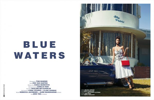 DESIGN SCENE MAGAZINE DEBUT ISSUE – OUT NOW - DSCENE