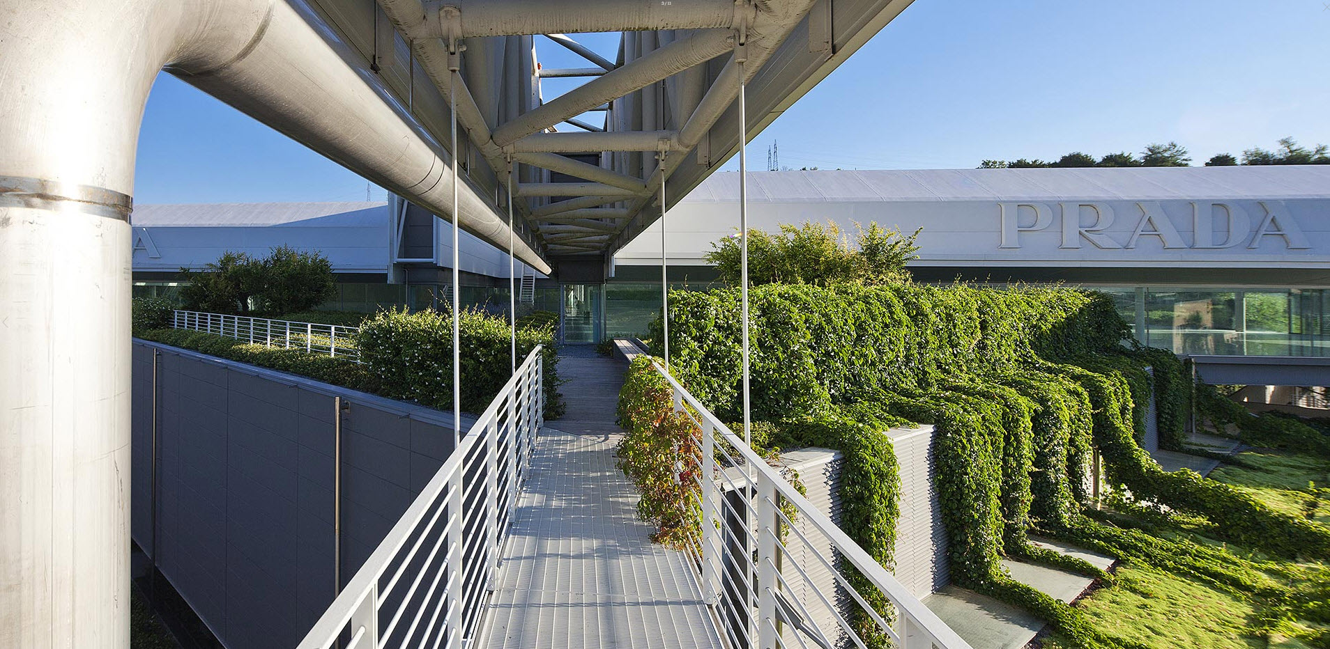 Prada Group Calls for Corporate Social Responsibility - DSCENE