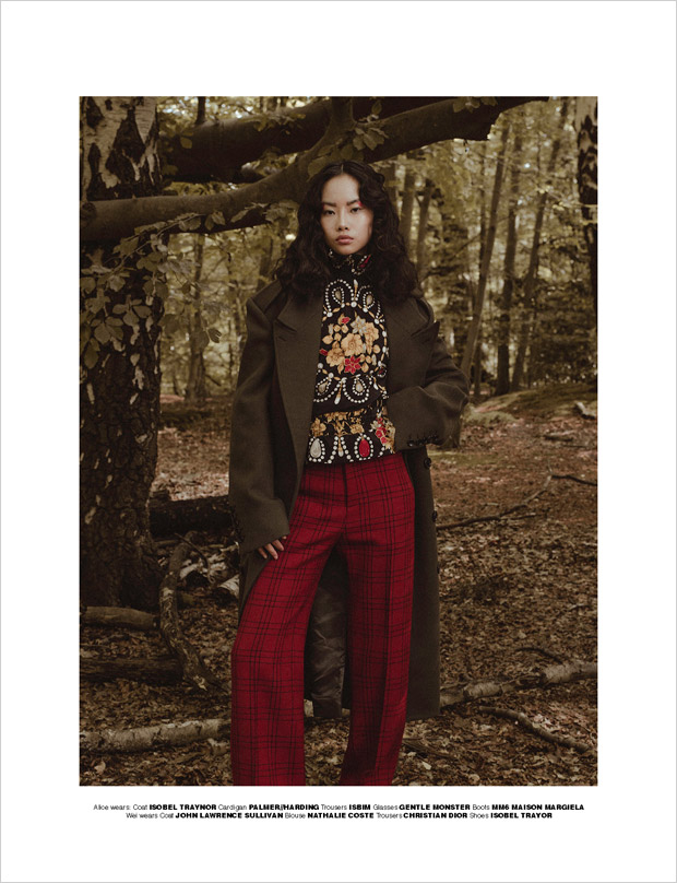 Greenery by Ray Kay for Design SCENE Magazine November 2018 Issue