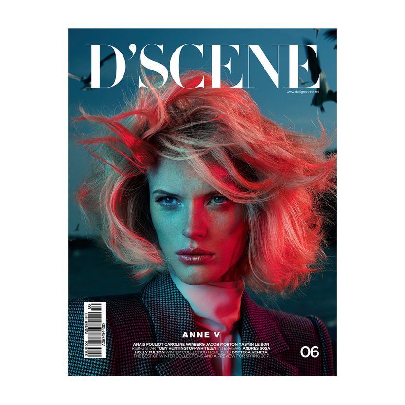 DSCENE ISSUE 017: THE ANNIVERSARY ISSUE