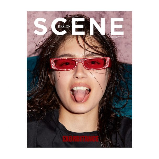 DSCENE ISSUES 14+15 PRINT BUNDLE - SHOP NOW