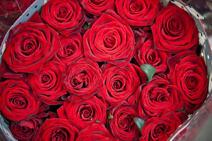 Rose Delivery 101: What Does the Number of Roses Given Mean?
