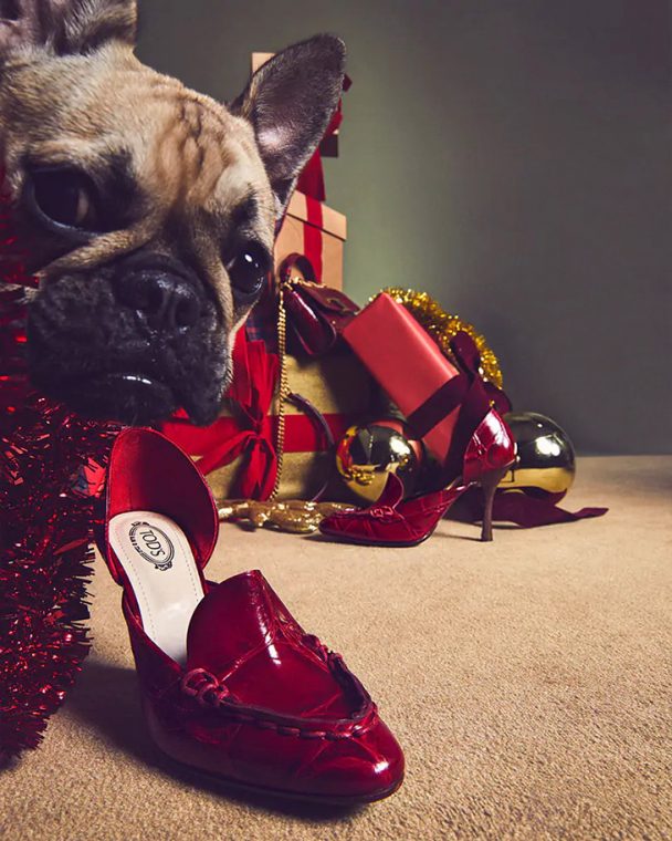 A Pawfect Holiday: Tod's Celebrates True Friendship with Festive 2020 ...