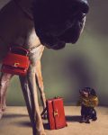 A Pawfect Holiday: Tod's Celebrates True Friendship with Festive 2020 ...