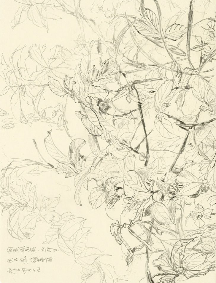 DSCENE INTERVIEW: Art Replanted With Zheng Bo
