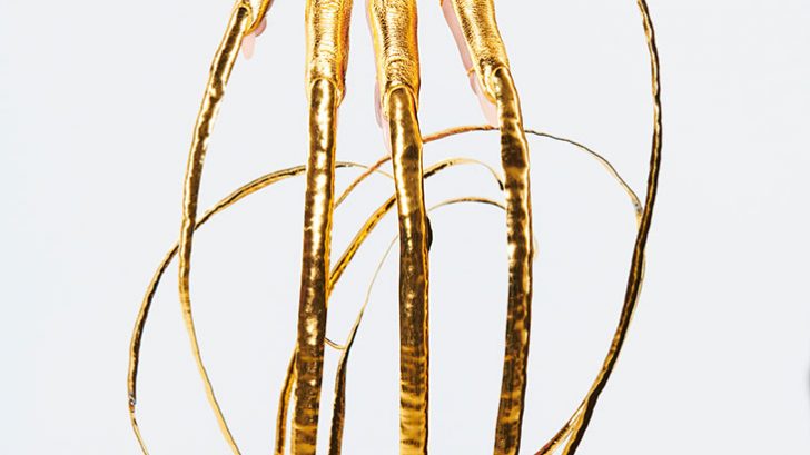 Schiaparelli Spring Summer 2021 Haute Couture Collection