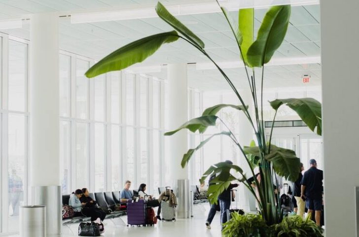 10 Essential Design Elements for a Great Lobby - DSCENE