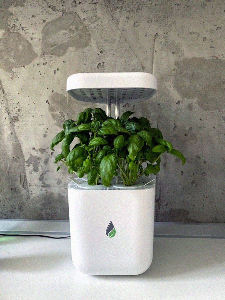 We Tested UrbiGo Smart Garden and Here Are the Results