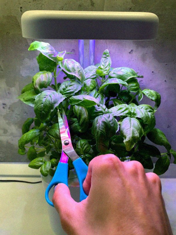 We Tested UrbiGo Smart Garden and Here Are the Results