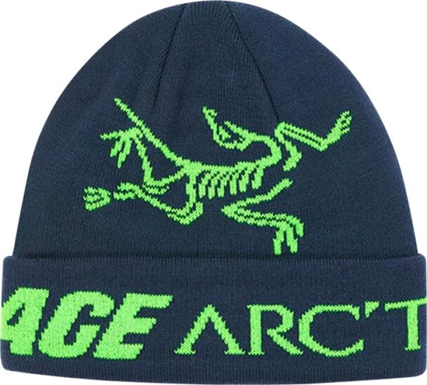 Guide to Palace x Arc'teryx Collection - DSCENE