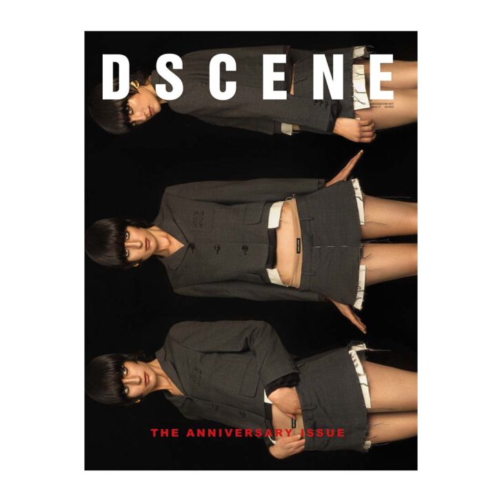 DSCENE ISSUE 017: THE ANNIVERSARY ISSUE