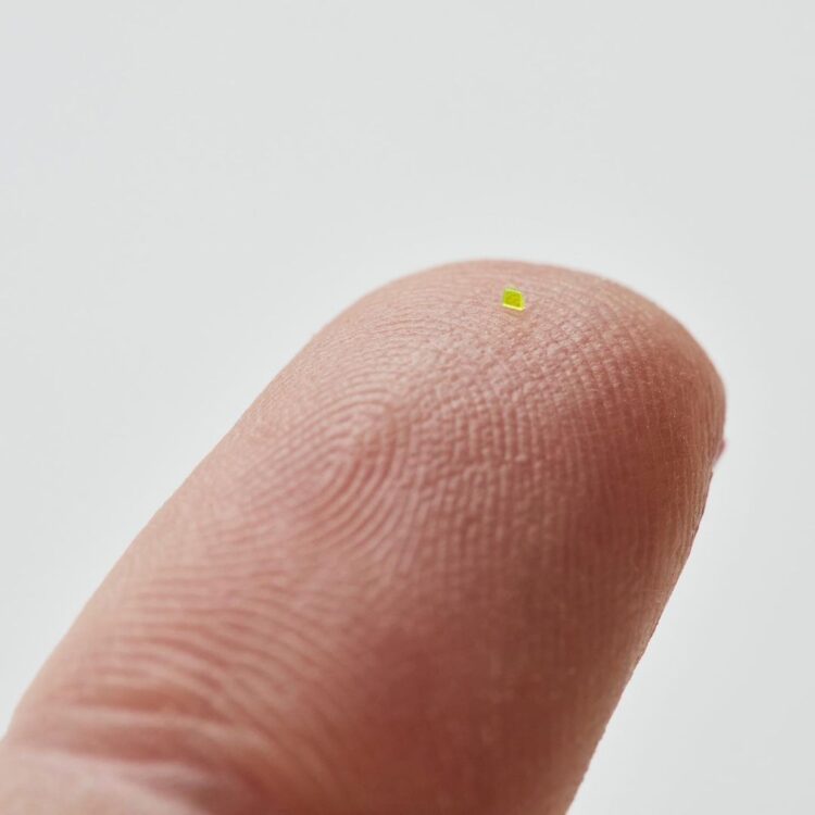 Microscopic Handbag? Why Not! MSCHF Goes To Louis Vuitton