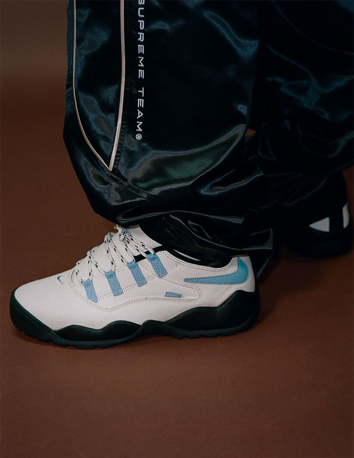 Supreme x Nike SB "Darwin Low" Sneaker Release