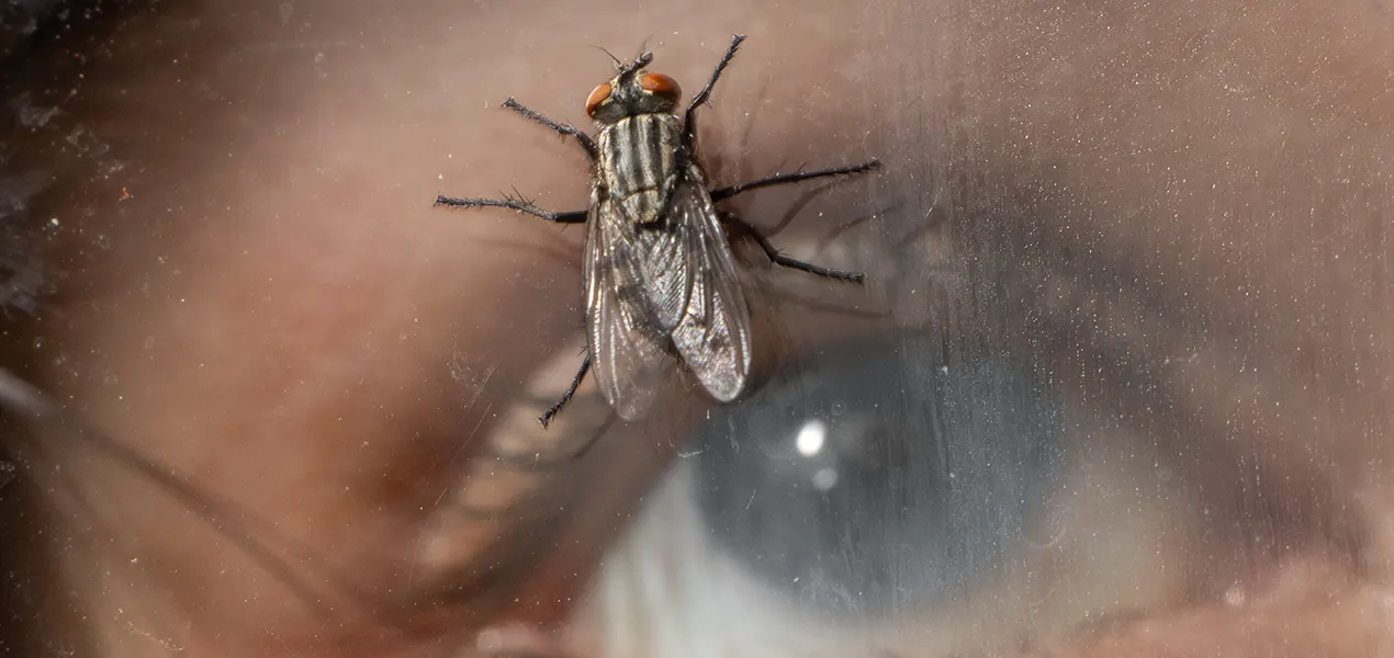 Exploring Inner Turmoil Through Art with Mario Dante Napoli