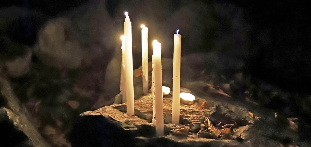 Blood, Shadows and Fear: The Story of Sava Savanovic